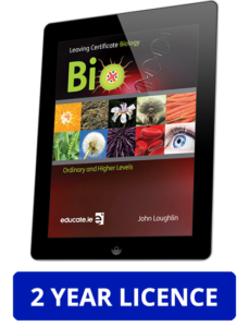 Get Constructive – ebook only (Ebook only, 2 Years) – educate.ie